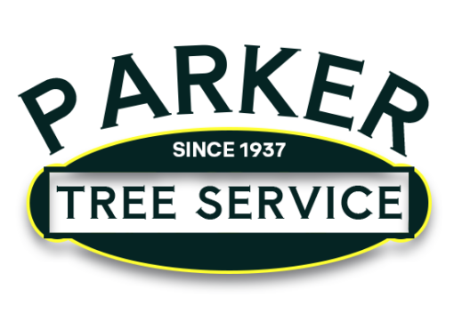 Parker Tree Service | Homepage - Parker Tree Services